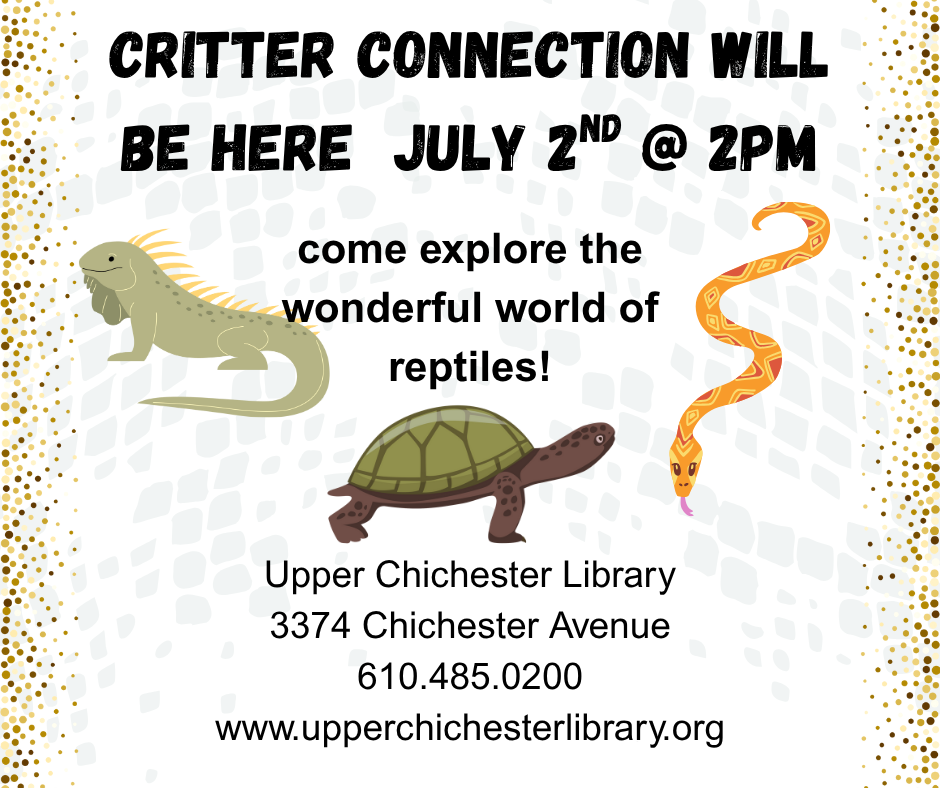 Upper Chichester Library | Public Resource, Community Education ...